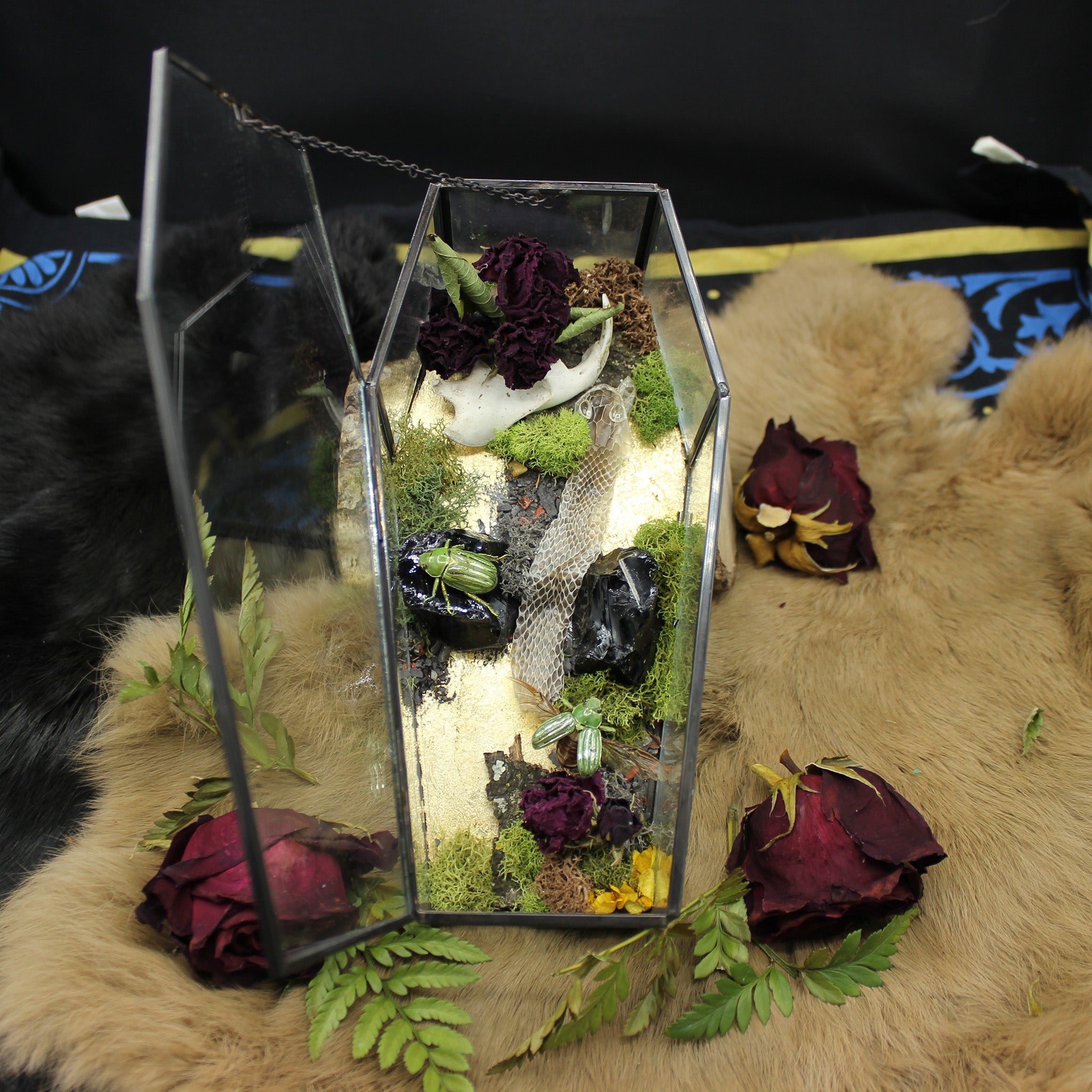 Medium Scarab Coffin | Obsidian Rose Collection – The Vulture's Bone